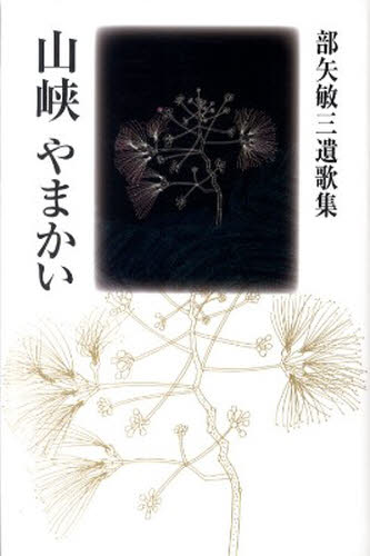 部矢 敏三 著本詳しい納期他、ご注文時はご利用案内・返品のページをご確認ください出版社名藍書房出版年月2011年08月サイズISBNコード9784900876262文芸 短歌・俳句 短歌集商品説明山峡 部矢敏三遺歌集ヤマカイ ヘヤ トシゾウ...