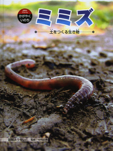 皆越ようせい／著 中村好男／監修科学のアルバムかがやくいのち 13本詳しい納期他、ご注文時はご利用案内・返品のページをご確認ください出版社名あかね書房出版年月2013年03月サイズ63P 29cmISBNコード9784251067135児童...