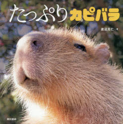 渡辺克仁／著本詳しい納期他、ご注文時はご利用案内・返品のページをご確認ください出版社名東京書籍出版年月2025年12月サイズ127P 21×22cmISBNコード9784487818136芸術 アート写真集 ペット写真集商品説明たっぷりカピ...