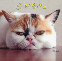 Mac Marron／著 にゃんこ編集部／編集その他詳しい納期他、ご注文時はご利用案内・返品のページをご確認ください出版社名ロングランドジェイ出版年月2019年02月サイズ89P 15×15cmISBNコード9784862978486芸術 ...