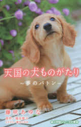 藤咲あゆな／著 堀田敦子／原作 環方このみ／イラスト小学館ジュニア文庫 ジほ-1-4本詳しい納期他、ご注文時はご利用案内・返品のページをご確認ください出版社名小学館出版年月2016年02月サイズ190P 18cmISBNコード9784092...