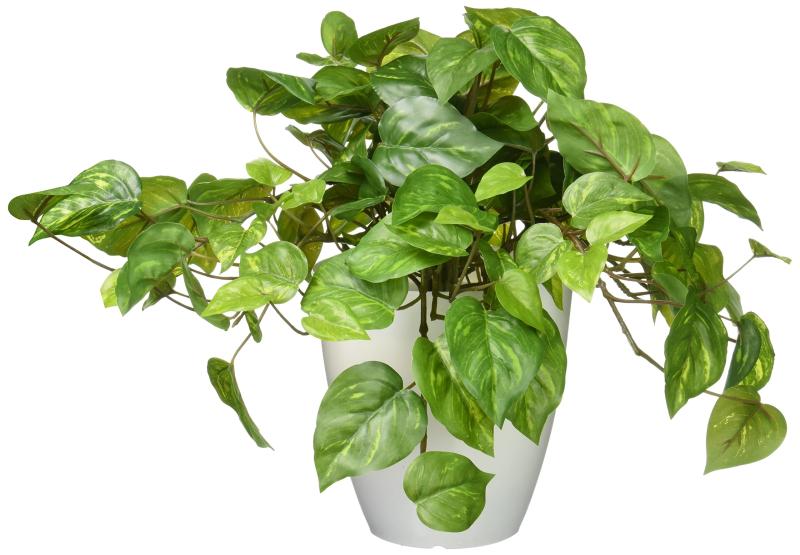 光触媒 人工観葉植物 光の楽園 フレッシュポトス