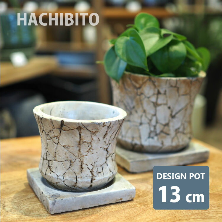 リアルなヒビ割れ模様が特徴的 ひび割れ模様がおしゃれな植木鉢。専用の受け皿も角型で和の印象を与えてくれます。 コーデックスやキッコウリュウ、アガベ、パキポディウムなどちょっと変わったピザールプランツを組み合わせてみてはいかがでしょうか？ 植...