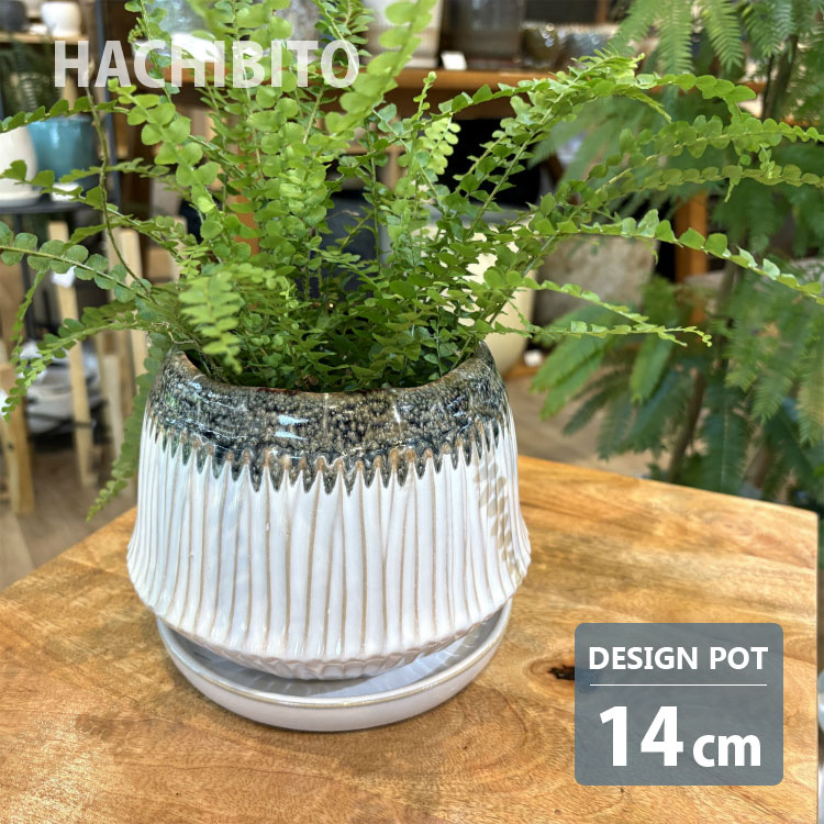 商品のポイント 縦のラインがスタイリッシュな植木鉢！ 縦に細いラインを入れた植木鉢。ぽってりとした形で、ホワイトをベースに上部分はグレーのツートンカラーとなっています。 カッチリとした陶器製で長くお使いいただけます。インテリアとしてもお勧め...
