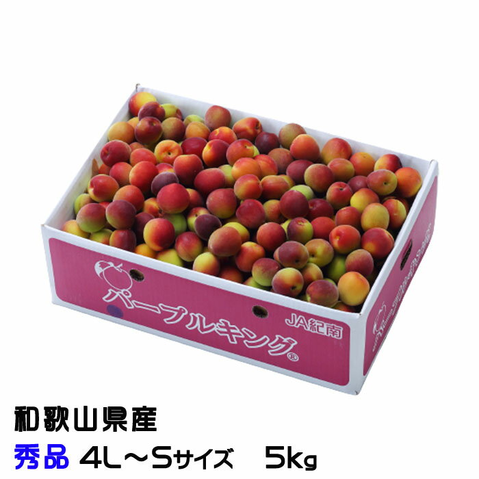 ※画像はイメージです。 ※天候等により出荷時期が前後する場合がございます。 ※運送中に追熟が進む場合がございます。和歌山県JA紀南管内でのみ栽培される大変希少な大梅です。現地でもなかなか手に入りにくいパープルキングは、鮮やかなピンクに染まる...