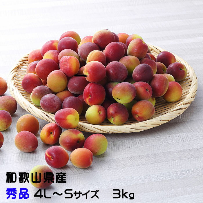 ※画像はイメージです。 ※天候等により出荷時期が前後する場合がございます。 ※運送中に追熟が進む場合がございます。和歌山県JA紀南管内でのみ栽培される大変希少な大梅です。現地でもなかなか手に入りにくいパープルキングは、鮮やかなピンクに染まる...
