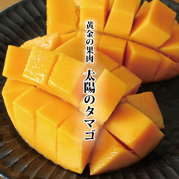 国内最高峰の 究極の完熟マンゴー。 宮崎県産 太陽のタマゴです。 とろける食感は糖度15度以上。 どちらも化粧箱入りで ご贈答用にもぴったり！ しかも送料無料！ 是非この機会にご賞味ください！] 【送料無料】宮崎県最高峰　ブランドマンゴー　...