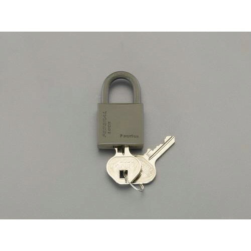 ●メーカー:エスコ●型式:EA983SG-230●梱包サイズ(mm):39×57×21●出荷目安:3営業日以内●材質:本体:真鍮 ● ツル:ハードスチール ● シリンダー:真鍮●幅:30mm●ツル径:5.0mm●クリアランス:縦:19mm、...