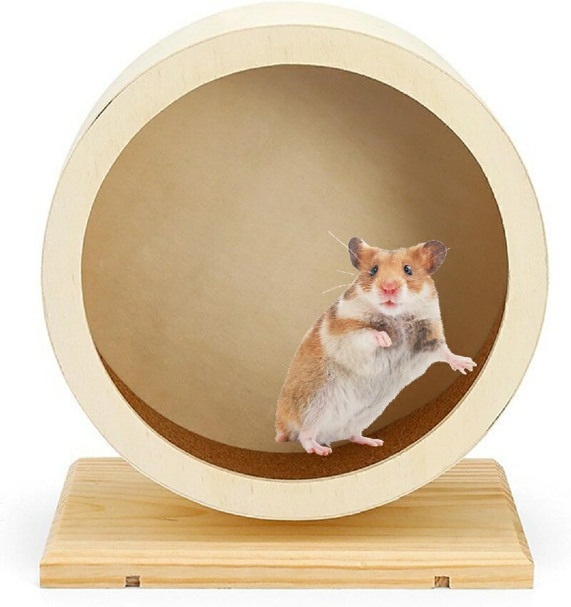 【静粛運動システム】15度傾斜松材ホイールとコルクランニング面の二重静音設計で、夜間運転音量25デシベル以下を実現。外径20cmのMサイズが成体ハムスターの運動需要に完璧対応し、プラスチックホイールの爪音を完全解消。 【科学的低段差出入設計...