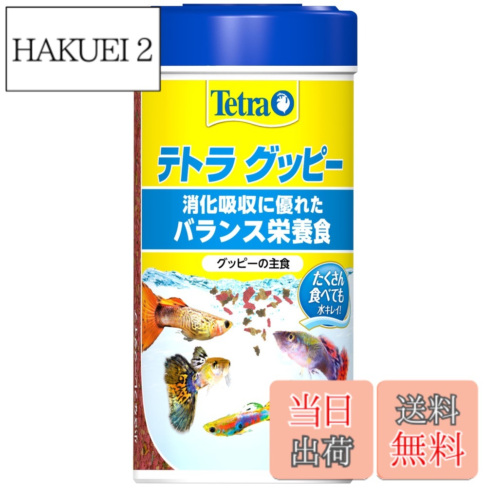 商品情報 商品の説明 商品紹介 商品紹介 グッピーの主食●食べやすい形状のフレークタイプ。グッピー用に開発されたフレークタイプのフードです。グッピーの動きに合わせて緩やかに沈みます●優れた栄養バランス。健康で容姿が美しく、色鮮やかなグッピー...