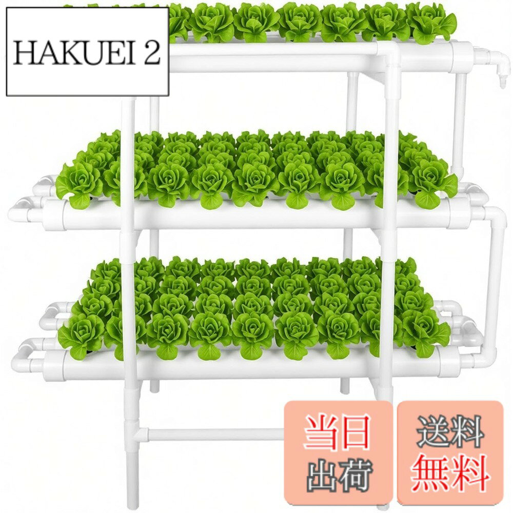 商品情報 商品の説明 主な仕様 【初心者に最適】この水耕栽培屋外栽培システムは、迅速で最大限の利便性を持つ野菜栽培のために設計されています。初心者に最適です！酸素を含んだ水と栄養素が根に直接届くので、土で育てた野菜よりも栄養価が高く、味も良...
