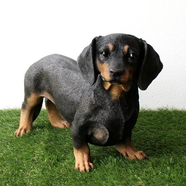 我が家のペット まるで本物のワンちゃんがいるような とても精巧に作られた ダックスフントのオーナメントです 事情があって ペットが飼えないお宅や 無類のワンちゃん好きさんに とってもおすすめです 玄関に座らせると いつも優しく、賢いお顔で出...