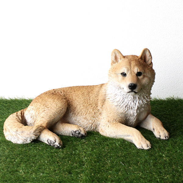 我が家のペット まるで本物のワンちゃんがいるような とても精巧に作られた シバ犬のオーナメントです 事情があって ペットが飼えないお宅や 無類のワンちゃん好きさんに とってもおすすめです 玄関に座らせると いつも優しく、賢いお顔で出迎えてく...