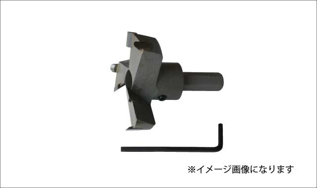 JANコード 4962660219061 キャッチコピー ●No.28P超硬P型座掘錐用カッター。 商品説明 ●サイズ:60●全長:66mm●軸径:13mm六角軸 注意事項