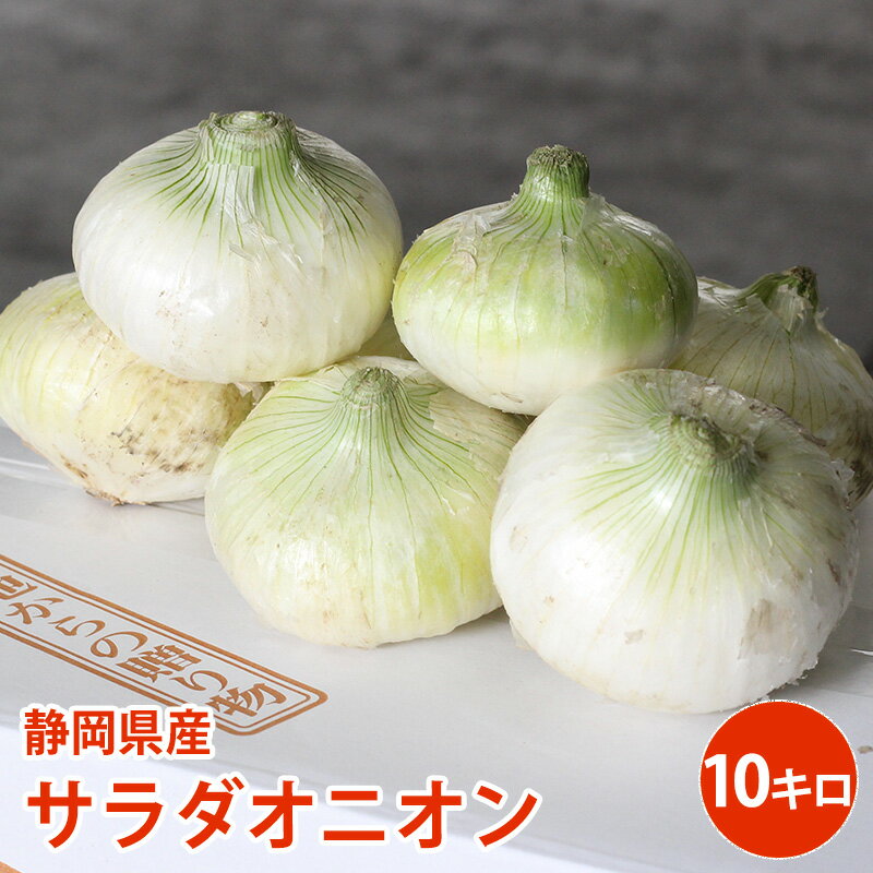商品詳細 サラダオニオン（ホワイトオニオン）10キロ 白玉葱は、静岡県浜松市南部の海岸に面した砂地地帯で栽培しています。浜松市は年平均気温 15.7 ℃と、1年を通して温暖な気候です。年間日照時間は2,132 時間と長く、全国トップクラス。...