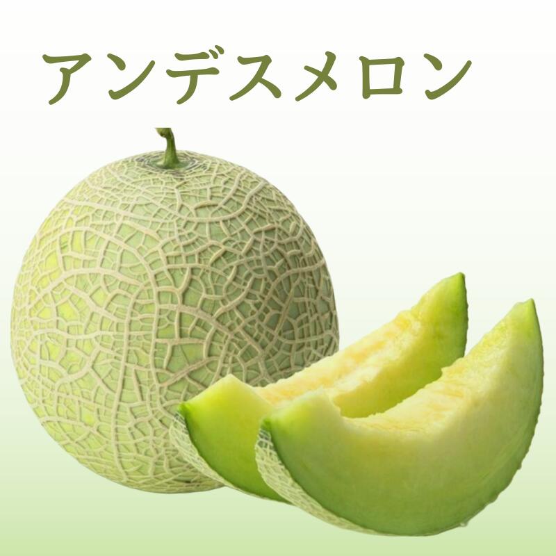 昔から慣れ親しんだ大衆メロンです。 病気にも強く、安価で供給できる品種。 生産者が作って安心。流通が売って安心。 消費者が買って安心。 3大安心を略して、「アンデス」となったそうです。 南米のアンデス地方とは全く関係なく、 日本で作られた品...