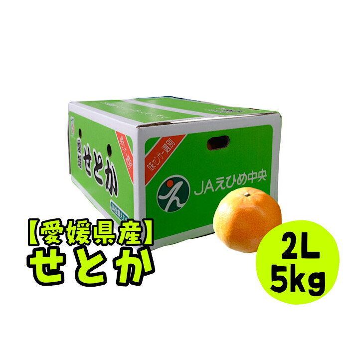 愛媛県産せとかのご案内です。 平成生まれの新品種せとか。1玉1玉の迫力。皮をむいた瞬間から始まるせとかのおいしさ。ひとつぶひとつぶが体を潤します。「清見」×「アンコール」×「マーコット」のいいところを全部とった柑橘会の最高峰。本当においしい...