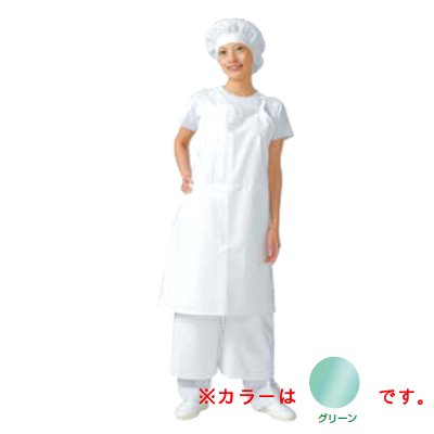 商品情報商品番号：1177901商品名：マイティクロス エプロン・セパレートタイプ E1007 グリーンSメーカー：EBMサイズ/内容量/重量：8801000 / 容量： / 重量：332gその他：材質：基布/ポリエステル100%、表面処理...