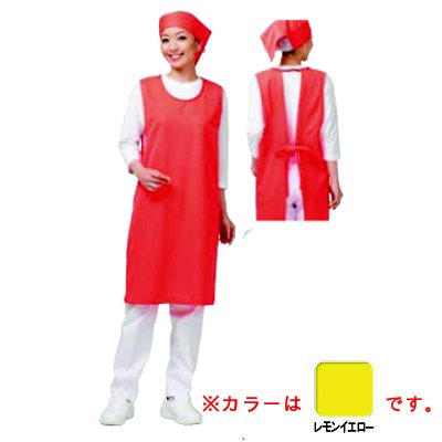 商品情報商品番号：3062930商品名：アイメッシュエプロン ノースリーブタイプ E5100 33G レモンイエローEBMコード：3062930TKG商品コード：8-1428-0404メーカー：EBMサイズ/内容量/重量：540940 / ...