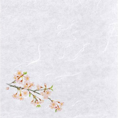 ■商品説明■商品名：新・濡れ奉書紙 桜 (100枚入)メーカー：ヤマコーメーカー品番：21-383-02外形寸法：幅20×20cm(mm)お届け数：1商品コード：65392【配送料について】【ご注意】画面上の色はブラウザやご使用のパソコンの...