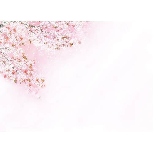 ■商品説明■商品名：尺3四季彩まっと 花雅(はなみやび) 桜 (100枚入)メーカー：ヤマコーメーカー品番：21-375-02外形寸法：幅26×38.5cm(mm)お届け数：1商品コード：66451【配送料について】【ご注意】画面上の色はブ...