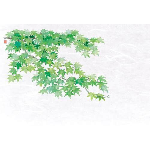 ■商品説明■商品名：尺3花暦 懐石まっと 青もみじ (100枚入)メーカー：ヤマコーメーカー品番：21-372-03外形寸法：幅26.4×39cm(mm)お届け数：1商品コード：66879【配送料について】【ご注意】画面上の色はブラウザやご...