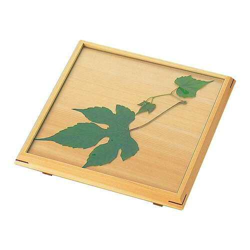 ■商品説明■商品名：7寸正角前菜皿(ガラス付)メーカー：ヤマコーメーカー品番：21-144-02外形寸法：幅21×21×3.5cm(mm)お届け数：1商品コード：38486【配送料について】【ご注意】画面上の色はブラウザやご使用のパソコンの...