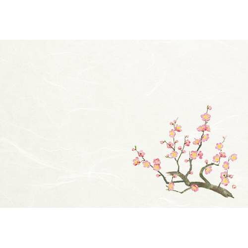 ■商品説明■商品名：尺3雲竜和紙懐石まっと 四季 梅 (50枚入)メーカー：ヤマコーメーカー品番：21-370-01外形寸法：幅26.4×39cm(mm)お届け数：1商品コード：64470【配送料について】【ご注意】画面上の色はブラウザやご...