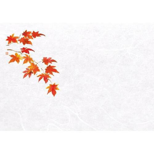 ■商品説明■商品名：尺1お手元まっと 四季 紅葉 (100枚入)メーカー：ヤマコーメーカー品番：21-378-07外形寸法：幅21×30cm(mm)お届け数：1商品コード：64957【配送料について】【ご注意】画面上の色はブラウザやご使用の...