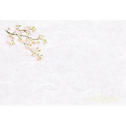 ■商品説明■商品名：尺3雲竜和紙懐石まっと 枯淡 桜 (100枚入)メーカー：ヤマコーメーカー品番：21-371-03外形寸法：幅26.4×39cm(mm)お届け数：1商品コード：65201【配送料について】【ご注意】画面上の色はブラウザや...