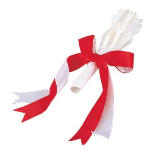 商品情報商品番号：5899100商品名：チャップ花 1本結び(20本入)ターキーメーカー：EBMサイズ/内容量/重量：18×170その他：配送料について【ご注意】画面上の色はブラウザやご使用のパソコンの設定により実物と異なる場合があります。...