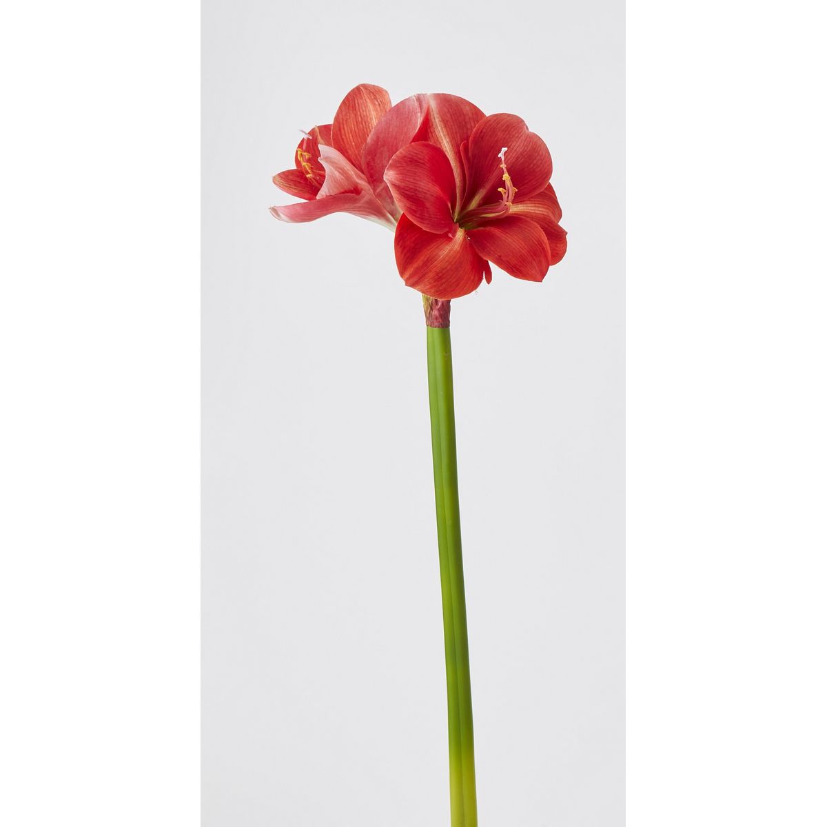 【サイズ】花Φ12-17.5cm/L70cm【ブランド】ビダヤコム【販売単位】6本 ※表示価格は、この単位での金額となります［その他サイズ］［重量］［入数］［材質］ポリエステル、ポリエチレン［規格］［特徴］［使用方法］［注意事項］・造花は人...