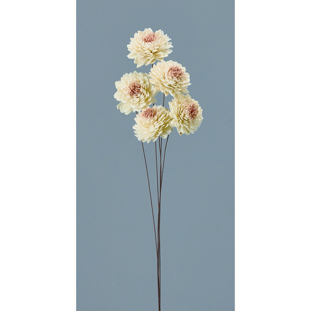 【サイズ】約38cmL/1束（5本）花径:約5-6cm【ブランド】大地農園［その他サイズ］［重量］［入数］［材質］天然素材［規格］［特徴］ソラの木の芯部分を薄くむいた素材で、ひとつずつ、ていねいに手作りしたお花です。持ち歩いても軽くてくずれ...