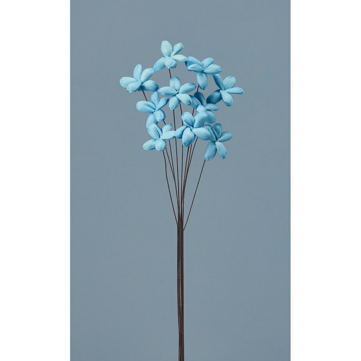 【サイズ】約38cmL/1束（10本）花径:約4cm【ブランド】大地農園［その他サイズ］［重量］［入数］［材質］天然素材［規格］［特徴］ソラの木の芯部分を薄くむいた素材で、ひとつずつ、ていねいに手作りしたお花です。持ち歩いても軽くてくずれに...