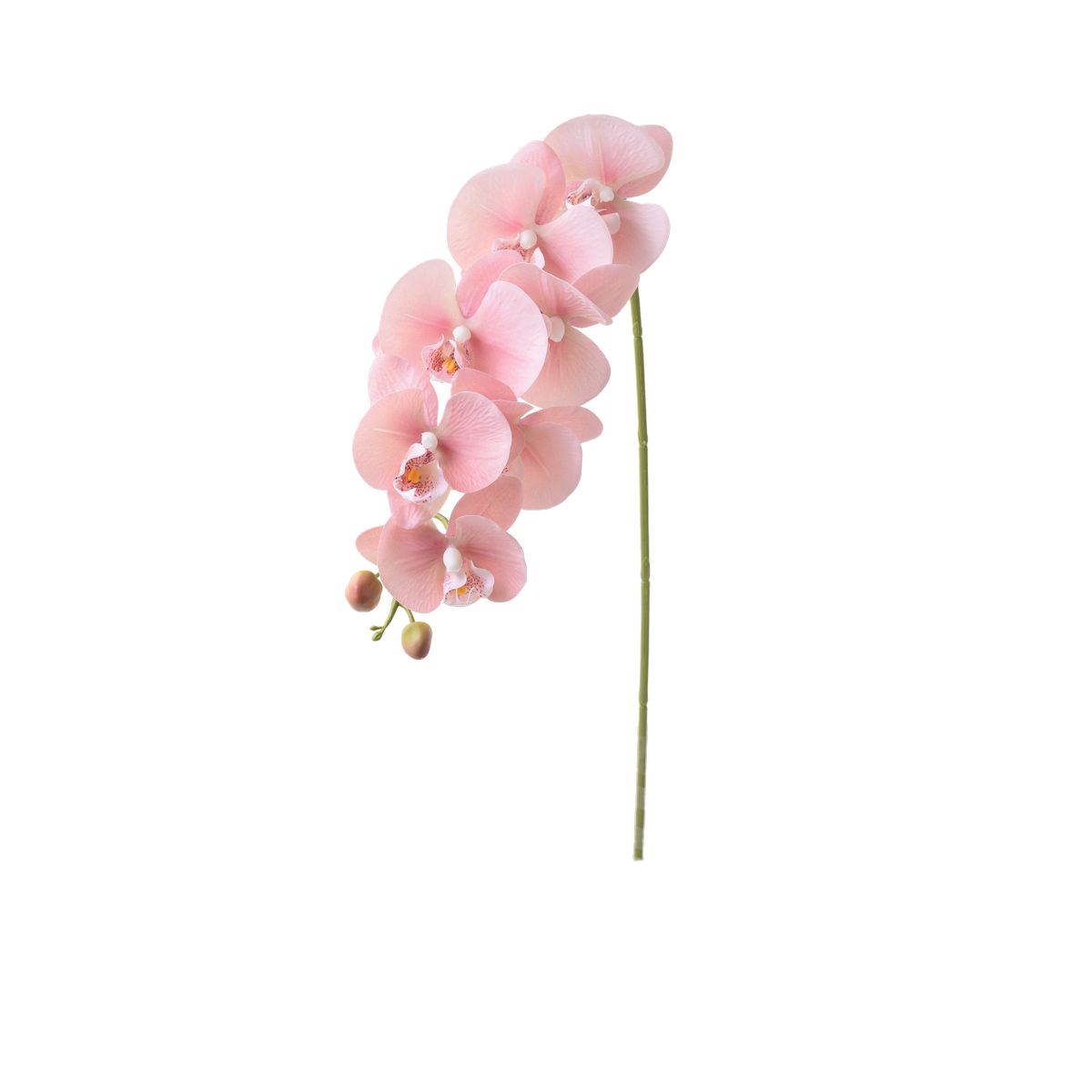 【サイズ】花径12cm全長82cm【ブランド】パレ［その他サイズ］［重量］［入数］［材質］ポリウレタンワイヤー［規格］［特徴］［使用方法］［注意事項］・造花は人の手作業で作られており、一つ一つに生のお花同様の個体差があります。シワ・ほつれ等...