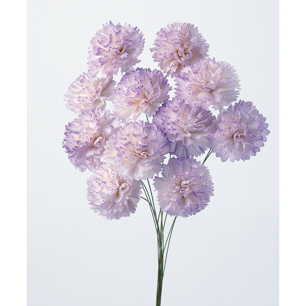 【サイズ】約25cmL・花径約3.5〜4cm・10本【ブランド】大地農園自然なグラデーションになっていて使いやすいお花です。軸付きで使い勝手がとても良いです。・・・ソーラーフラワーとは・・・ソラの木の皮を薄くむいて乾燥させたものを一つ一つ丁...
