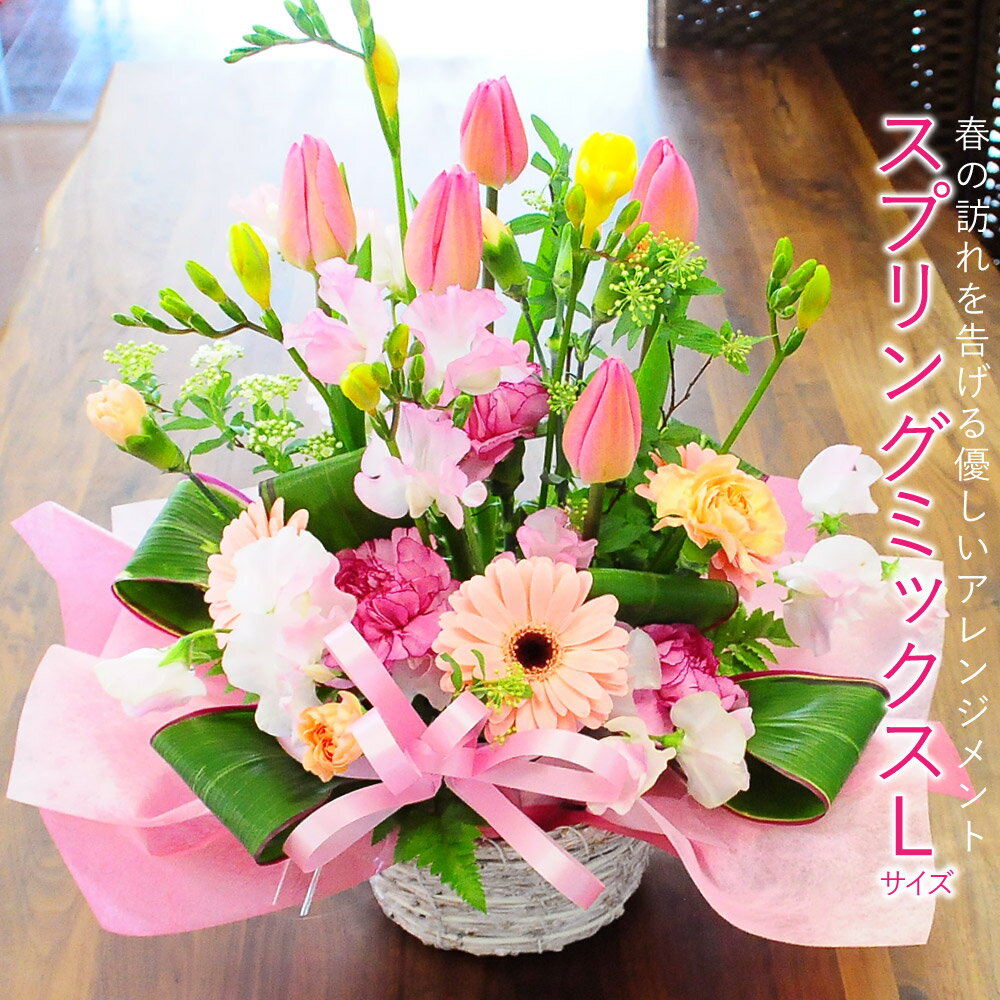 商品名 スプリングミックス Lサイズ 商品の特徴 チューリップやスイートピーなどをかわいらしくボリュームたっぷりにアレンジしました。 成人の日、成人祝いギフトとしても人気です。 バレンタイン花、フラワーバレンタインのギフトにもおすすめです。...