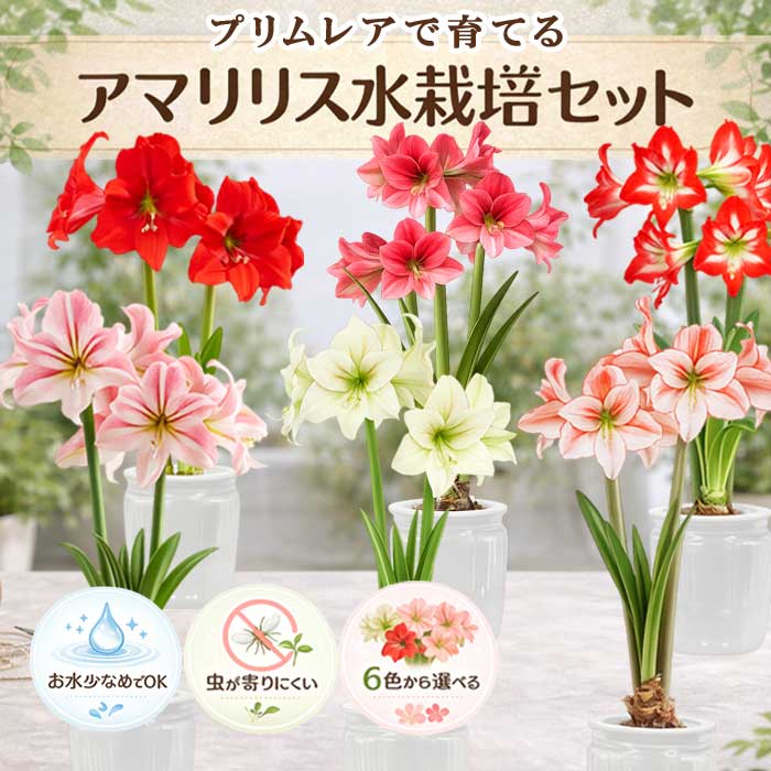 【発送時期の異なる商品とは同梱できません】 発送時期が異なる商品を同時注文される場合、別送となるため追加で送料が発生します！ 発送時期については商品名・配送予定欄にてご確認いただくか、事前に同梱可能かお問合せください。 ※写真はイメージです...