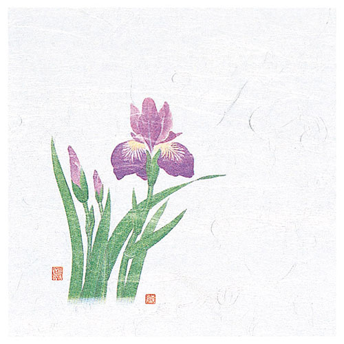 4寸OP懐石敷紙 菖蒲 (100枚入)無蛍光雲竜和紙に光沢を抑えたPPフィルムを貼合せた四季彩料理敷紙です。 ☆絵柄の上に直接お料理を盛り付けることができます。サイズ : 約12×12cm 重量 : 140g 生産国 : 日本 保証期間 :...
