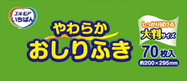 ■商品紹介商品番号：ns-hr-4971633170926しっかり拭ける200×295mmの大判サイズ。パラベンフリー・ノンアルコール・無香料。やわらかでお肌にやさしい。開封口を取り出しやすくしました。「トイレに流さないでください」マークを...