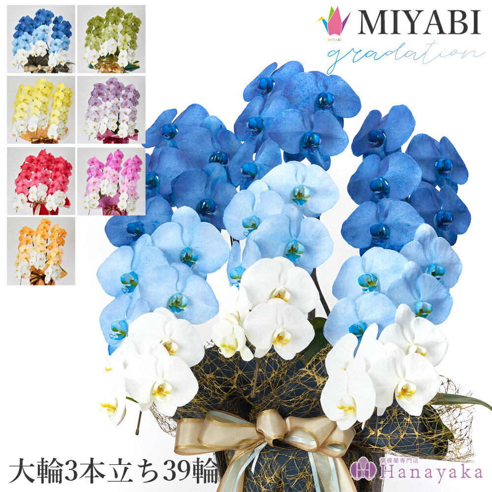 商品情報 商品詳細 ・高さ：　約85cm（鉢底から） ・ラッピング無料 ※商品写真で使われている有料ラッピングは現在取り扱い無し ・立札・メッセージカードは無料 ※木札タイプは有料です。 ご希望の場合は別途ご購入くださいませ。 必ずお読みく...