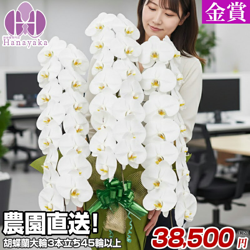 商品情報 商品 胡蝶蘭大輪3本立ち45輪 花色 白 サイズ ・花の高さ（鉢底から）：約85cm ・幅：　約45cm ・鉢サイズ：　約24cm オプション ・ラッピングは無料です。お好きな色をお選びください。 ・メッセージカード、立札、木札は...