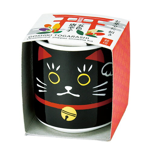 詳細説明【特長】・「招き猫」のおちょこで縁起のよい五色唐辛子を育てます。・手招きして福を呼ぶ招き猫と、実の色の変化を楽しめる観賞用植物。・小さいながら、開運パワー×かわいらしさの最強コンビです。&nbsp;商品仕様（スペック）種類：黒/五色...