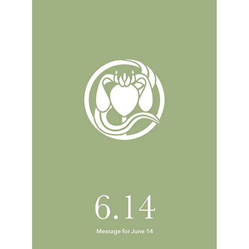 詳細説明【特長】・366日、毎日が誰かにとって特別な日　思わず贈りたくなるメッセージカード。・四季折々の花を「紋」にあらわした花個紋と、その日を素敵に過ごすためのメッセージを紹介した、今までにないカードです。・366日（366種類）の花個紋...