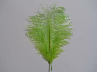 個性ある各種の羽根を取り揃えています。各自のデザインに合った羽根を揃えています。 長さ約15−25cm　 2枚 ※掲載商品はすべて消費税込みの価格です。