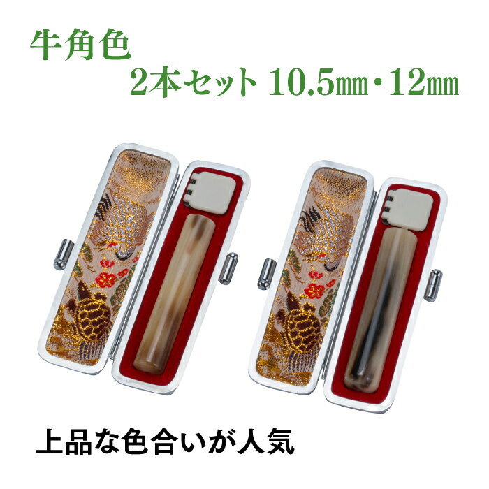 Item Information 説明 認め印サイズ10.5mmと銀行印サイズの12mm　牛角色の2本セット 一番の特徴としては独特な斑模様。個体差により色味や斑の模様もすべて違います。 一見すると印材の頭の部分に傷の様に見えるこれが芯です...
