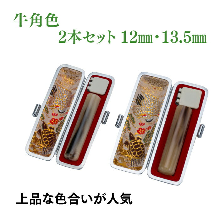 Item Information 説明 認め印サイズ12mmと銀行印サイズの13.5mm　牛角色の2本セット 一番の特徴としては独特な斑模様。個体差により色味や斑の模様もすべて違います。 一見すると印材の頭の部分に傷の様に見えるこれが芯です...