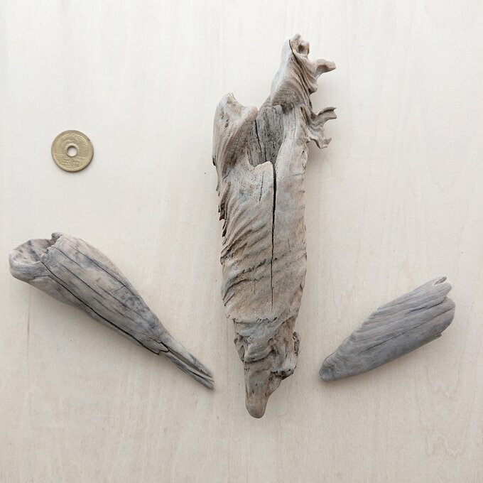 ビーチコーミングで集めた流木です。この流木を使って、アイテムを制作したりこのままお部屋に飾ってインテリアとして使ったり色を塗って、雰囲気を変えてみたり楽しみかたいろいろ◎サイズ約7.5cm〜約19cm流木は煮沸消毒、天日干しをしております。...