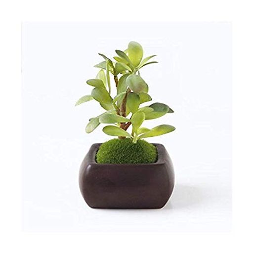 製品型番:KH-61065 素材・材質:ポリエチレン、ポリスチレン、陶器 生産国:中国 ※ギフトボックス入