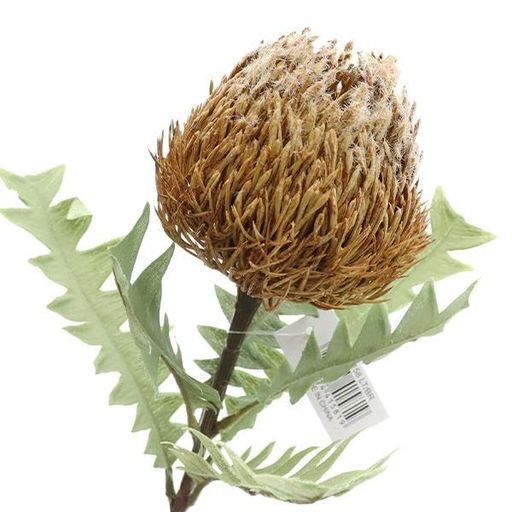 全長(約):68cm 花径(約):10x10cm 素材:ポリエステル/ポリエチレン/ワイヤー